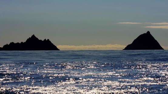 Photos of Skellig Michael Island | Skelligs Rock Cruises