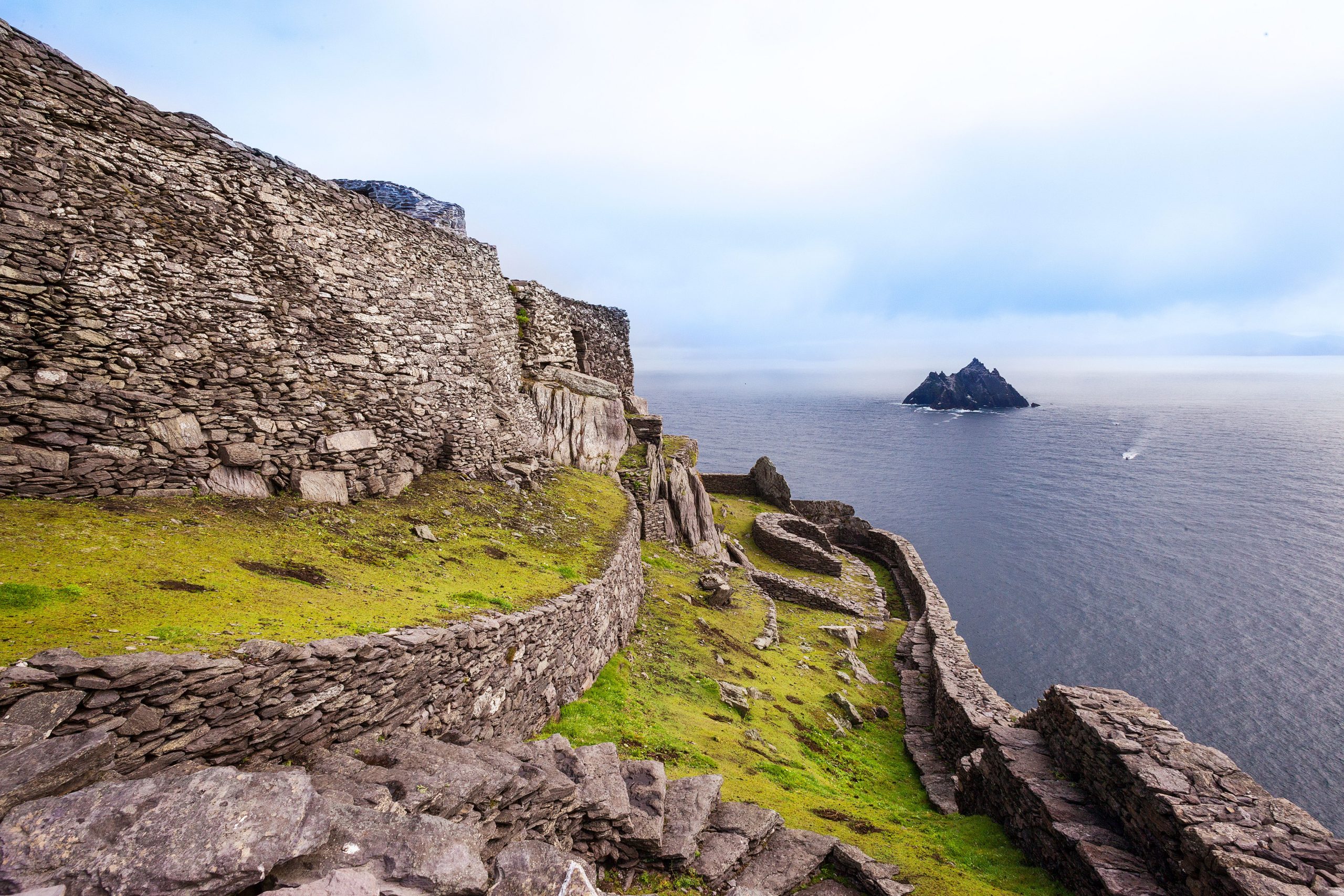 Explore Skellig Michael's Wildlife | Skelligs Rock Cruises