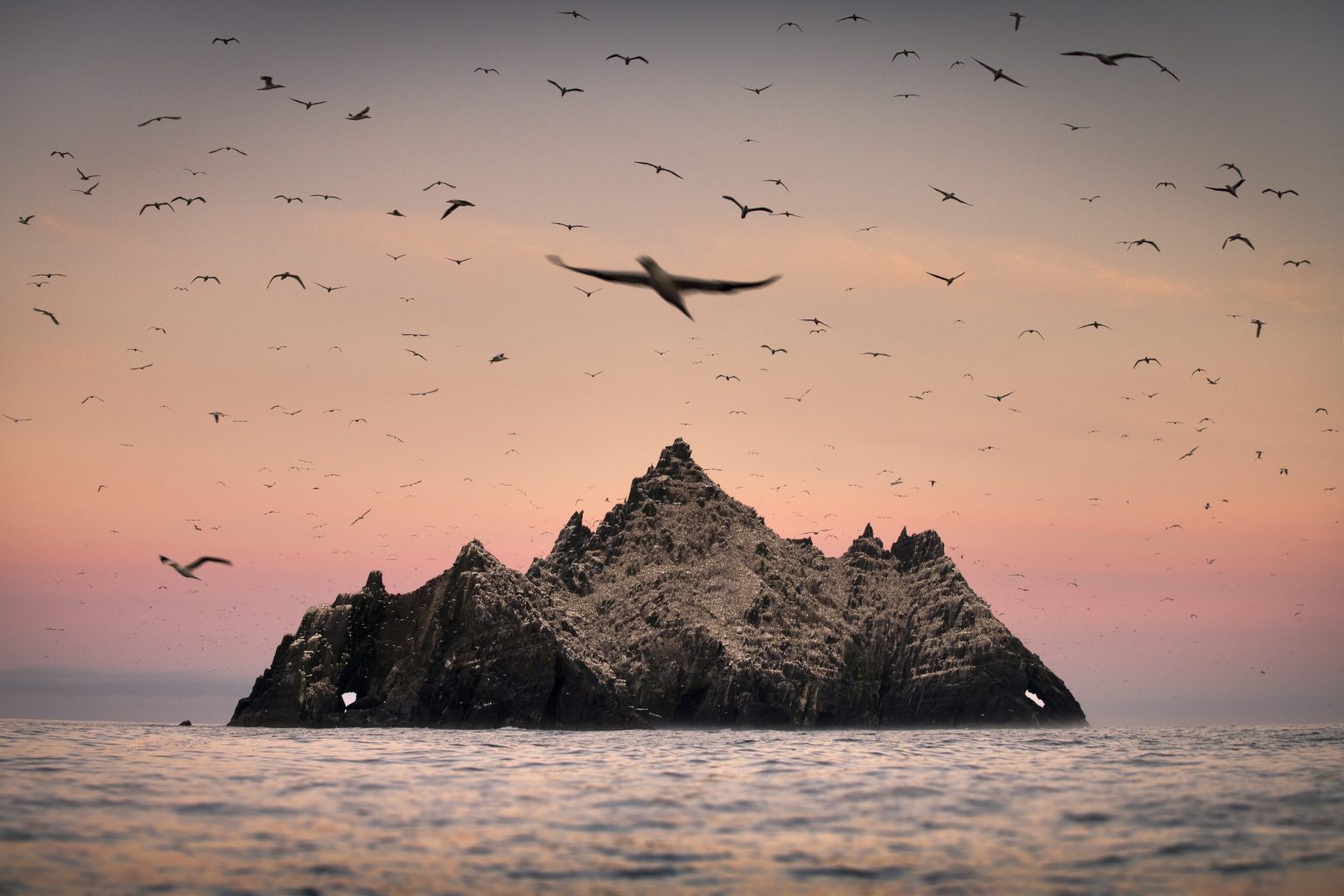 Skellig Michael Tours | Boat Trips | Skelligs Rock Cruises
